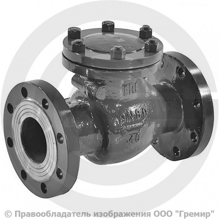Клапан обратный поворотный Ду-80 Ру-40 19с53нж ЧАЗ купить в Москве ...