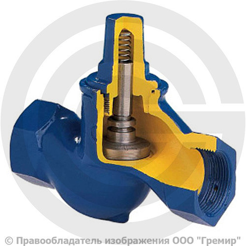 Клапан обратный подъемный муфтовый Ду-25 (1") Ру-16 ВР 277А Zetkama ...
